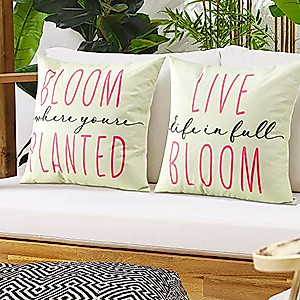 Ohok Spring Summer Outdoor Waterproof Pillow Covers 18x18 Set of 4 Farmhouse Decor Pillow Covers Flowers Live Bloom Outdoor Patio Throw Pillow Covers for Patio Funiture Garden Bed Couch Sofa