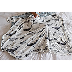 Pobi Baby Premium Baby Blanket, Soft Stretchy Quilt for Babies, Toddlers, Kids (Seaside)