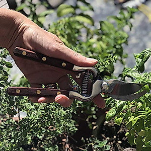 Thai Kitchen and Garden Shears by Verve CULTURE, Handmade Heavy-Duty Kitchen Scissors, Pruning Shears for Gardening
