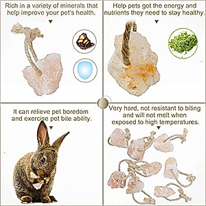 Himalayan Small Pets Lick Salt Block on Rope Natural Small Animal Mineral Salt Block Chew Toys with Hanging Rope Rabbit Mineral Salt Chew Treat Supplies for Bunny Chinchilla Hamster Ferret (8PCS)