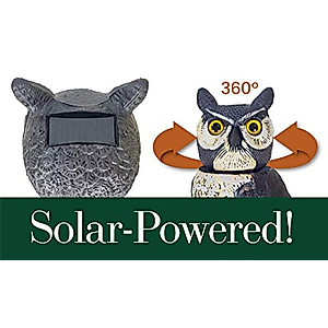 Dalen SOL-R Action Solar Fake Owl Decoy to Scare Birds Away from Gardens, Rooftops, and Patios - Scarecrow Provides Chemical-Free Pest Control - Safe and Humane, 18" 360º Rotating Head