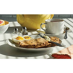 RSVP International Endurance Collection Kitchen Tools, Butter Shaver, Stainless Steel