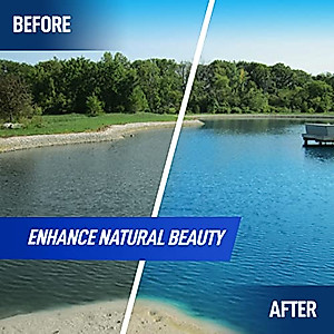4X Blue Pond Dye - Transforms Murky Brown Water to Natural Blue Color - Super Concentrated Lake and Pond Dye - Liquid Pond Shade Treats Up to 1 Acre - Safe for Fish and Wildlife (32 oz)