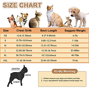 SAWMONG Dog Surgery Recovery Suit with Foldable Cone, Stretch & Cotton Dog Spay Surgical Suit for Female Dogs, After Surgery Dog Onesie with Adjustable Rear Flap, Medium