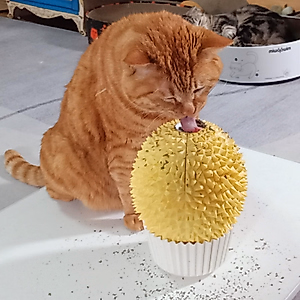 Miwoowim Catnip Feeder - Cat Face Scratcher Wall Corner Massage Comb for Indoor Cats Self Grooming Brush (Green)