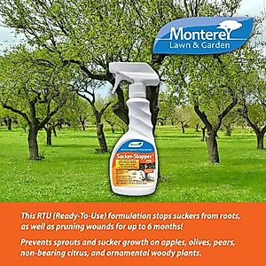 Monterey LG4300 16 Oz SUCKER-STOPPER Sucker Growth Killer