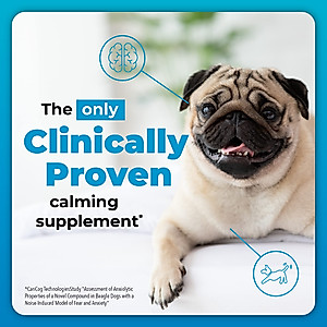 VETRISCIENCE Composure Calming Treats for Small Dogs Dealing with Anxiety, Separation Stress, Noise, Thunder and Barking - Yummy Flavored Chews Pets Love, 30 Chews