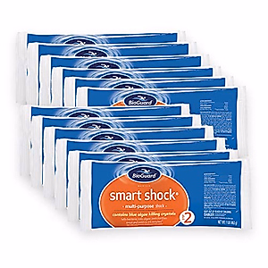 BioGuard Smart Shock (1 lb) (12 Pack)