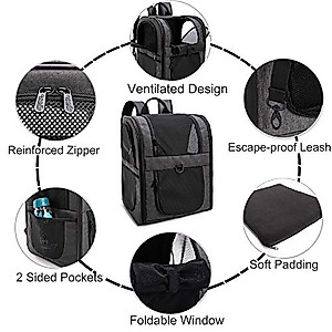 Apollo Walker Pet Carrier Backpack for Large/Small Cats and Dogs, Puppies, Safety Features and Cushion Back Support for Travel, Hiking, Outdoor Use (Black)