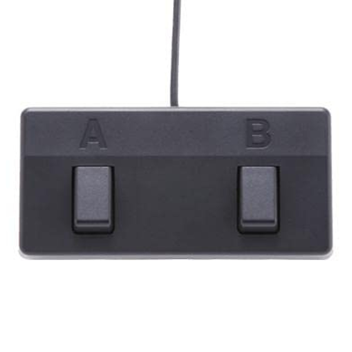 Boss Acoustic Singer Live 60-Watt Bi-Amp Acoustic Combo with FX