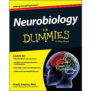 Neurobiology For Dummies (For Dummies Series)
