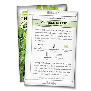 Sow Right Seeds - Chinese Celery Seeds for Planting - Non-GMO Heirloom Packet with Instructions to Plant and Grow a Home Vegetable Garden - Culinary and Compact Herb, Abundant Stalks (1)