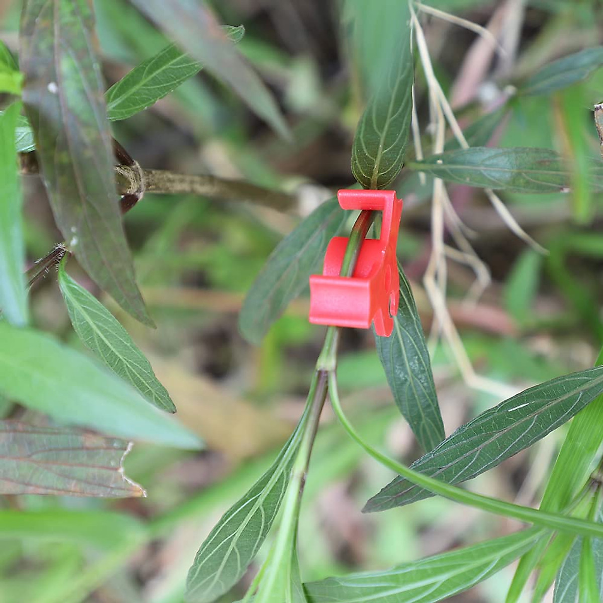 LucyPhy 30 Pack Plant Bender Angle Adjustable Plant Training Clips Low Stress Training Clips 90 Degrees Plant Stem(Circle Style,Red)