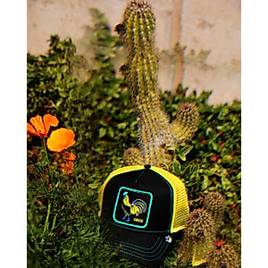 Goorin Bros. The Farm Acid Trip Collection Unisex Adjustable Trucker Cap, Black (Cock Trip), One Size