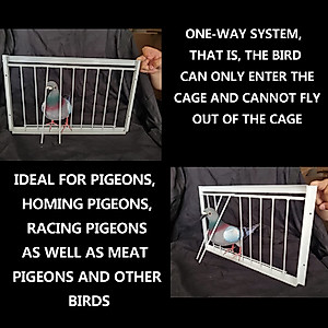 Pigeon Trap Door Pigeon Door Pigeon Traps Bird Traps Pigeon loft Door
