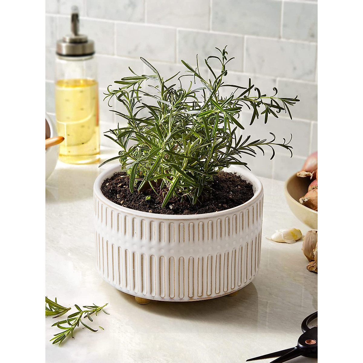 LE TAUCI Succulent Pots, 6.5+8 Inch Ceramic Indoor Plant Pot with Drainage Hole, Modern Round Decorative Flower Pot, Set of 2, Reactive Glaze White