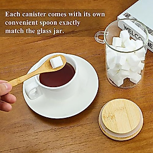Glass Jars with Bamboo Airtight Lids - 17oz Glass Food Storage Containers, 3Pack Borosilicate Glass Canisters Coffee Jar with Spoon for Tea, Sugar, Spice, Bath Salts, Overnight Oats