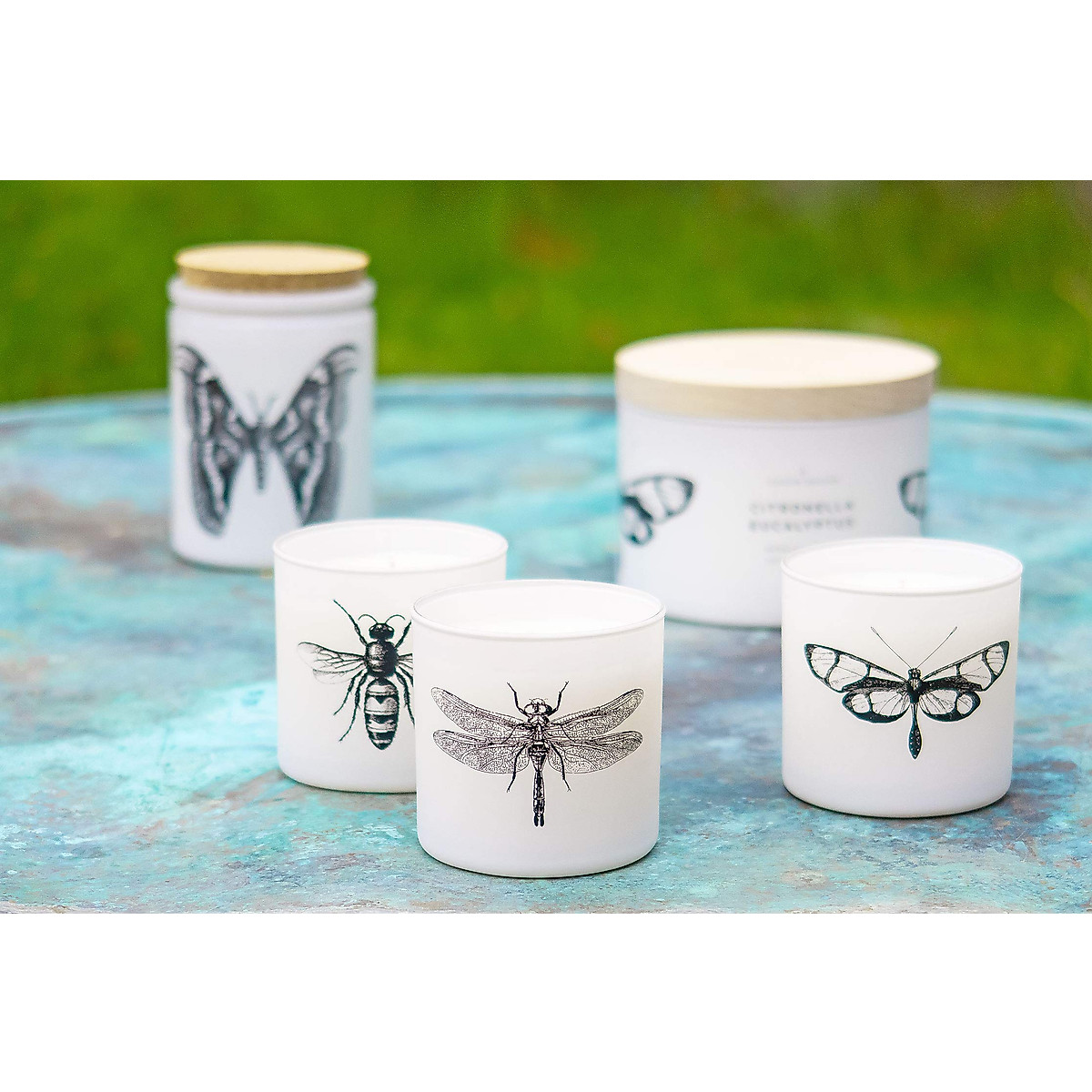 Skeem Citronella Sea Salt Votive Scented Candles - Set of 3 White Votive Candles - 50 Hour Burn Time - Made in The USA