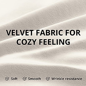 Cozy Castle Velvet Dining Chairs Set of 2, Upholstered Comfy Chairs with Back, Accent Chairs for Kitchen, Beige