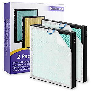 Vital 100S Toxin Absorber Replacement Filter for LEVOIT Vital 100S Smart WiFi Air Puri-fier, True 4-in-1 HEPA and High-Efficiency Activated Carbon Filter, Vital 100S-RF-TX (LRF-V102-GUS), 2Pack, Green