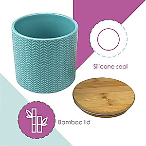 Home Basics Small Wave Design Kitchen Canister (Turquoise) Modern Canister Sets For Kitchen Counter | With Bamboo Lid | Perfect For Storing Dry Food, Baking Staples, Snacks, and More
