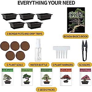 Meekear 5 Bonsai Tree Kit with Complete Plant Growing Tools, Grow in Pot Indoor Bonsai Tree Starter Kit, Home Gardening DIY Gift for Adult