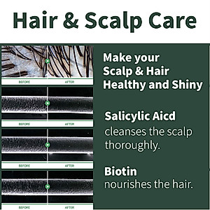 Dr.Pelo Miracle Shampoo, Shampoo for Oily Hair Types – Cool Down Your Scalp and Style Your Hair Easier