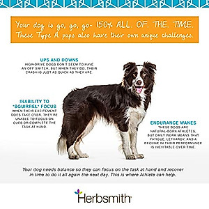 Herbsmith Athlete – Canine Endurance Supplement for Working and Agility Dogs – For the Canine Athlete – 75g Powder