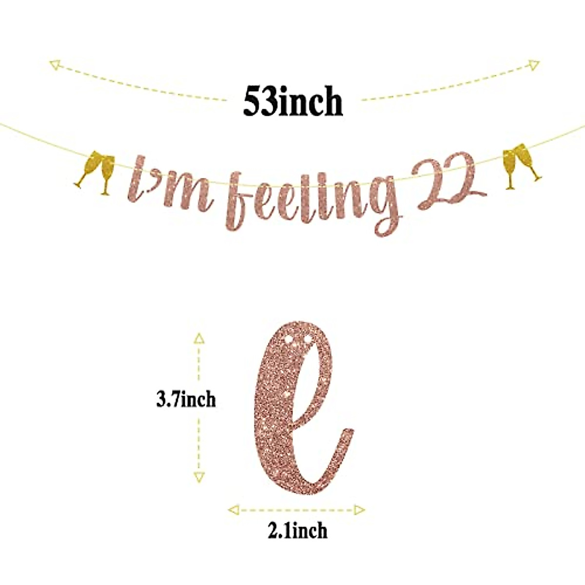 Rose Gold Glitter I'm Feeling 22 Banner, Happy 22nd Birthday Banner, 22nd Birthday Decorations, 22nd Birthday Party Supplies