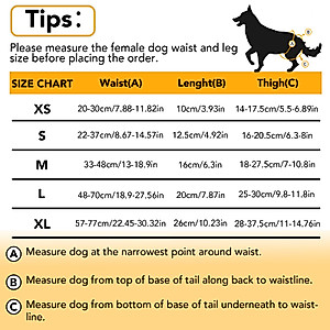 XPCARE Dog Diapers Female (4 Pack) - Washable Reusable Female Dog Diapers - Highly Absorbent Puppy Diapers for Dogs in Heat, Incontinence, or Excitable Urination (X-Large)