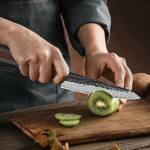 TURWHO 10.5-inch Japanese Sashimi Knife Hand Forged 67 Layers Damascus Steel Salmon Kitchen Knives