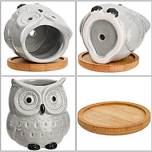 Frcctre 6 Pack Ceramic Succulent Pots, Small Succulent Planter Pots with Drainage and Bamboo Tray, Cute Animal Planting Pot Flower Pot Indoor Plant Pot for Succulent, Cactus, Garden Office Home Decor