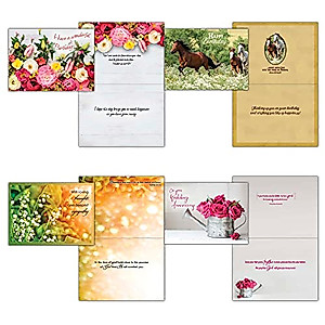 Shared Blessings 48 All Occasion Religious Greeting Cards Value Pack 2 - King James Version Scriptures - Faith Based Greeting Cards - Inspirational Thinking of You Cards with Envelopes - Assorted Designs including Religious Birthday, Thinking of You Cards