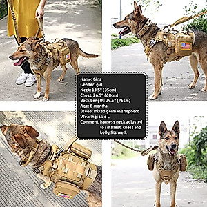 Forestpaw Tactical Dog Vest Harness and Easy Control Training Dog Collar with Bungee Dog Leash Set No Pull Military Dog Harness with Backpack for Medium Large Dogs-Coyote Brown L