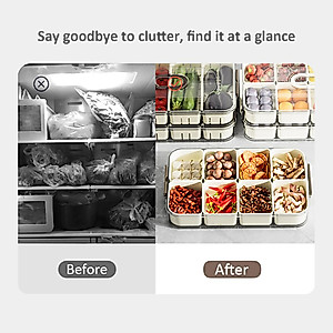 TUZZAN Plastic Bento Snack Box Container with Compartment, Stackable Fridge Container with Lids and Divided Serving Tray, Storage for Food, Vegetables, Transparent, TFSC003