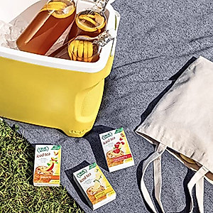 True Citrus Lemon Iced Tea, Peach, 6 Count (Pack of 12)