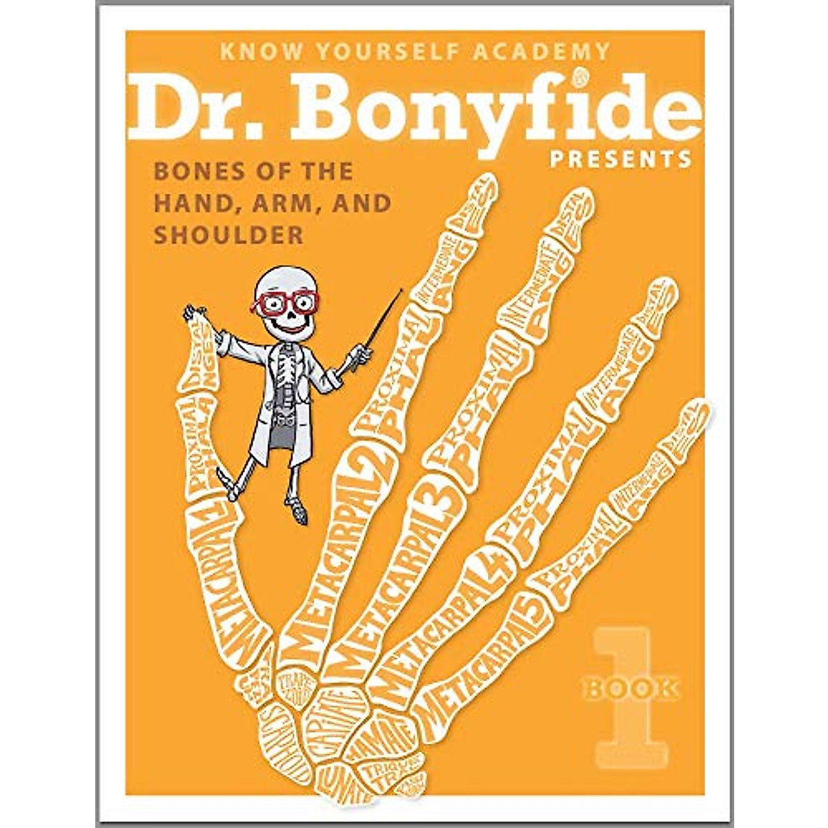 Know Yourself - 206 Bones of the Human Body - 4 Book Set, Best Interactive Activity Workbooks for Kids, Parents’ Choice Award, Ages 8-12
