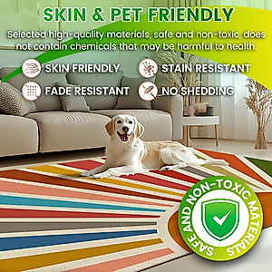 Washable 5x7 Sun Area Rug for Living Room, Rainbow Sun Modern Boho Large Area Rugs, Ultra Thin Low Pile Lightweight Soft Indoor Floor Carpet with Non-Slip Backing for Bedroom Kids Nursery Play Room