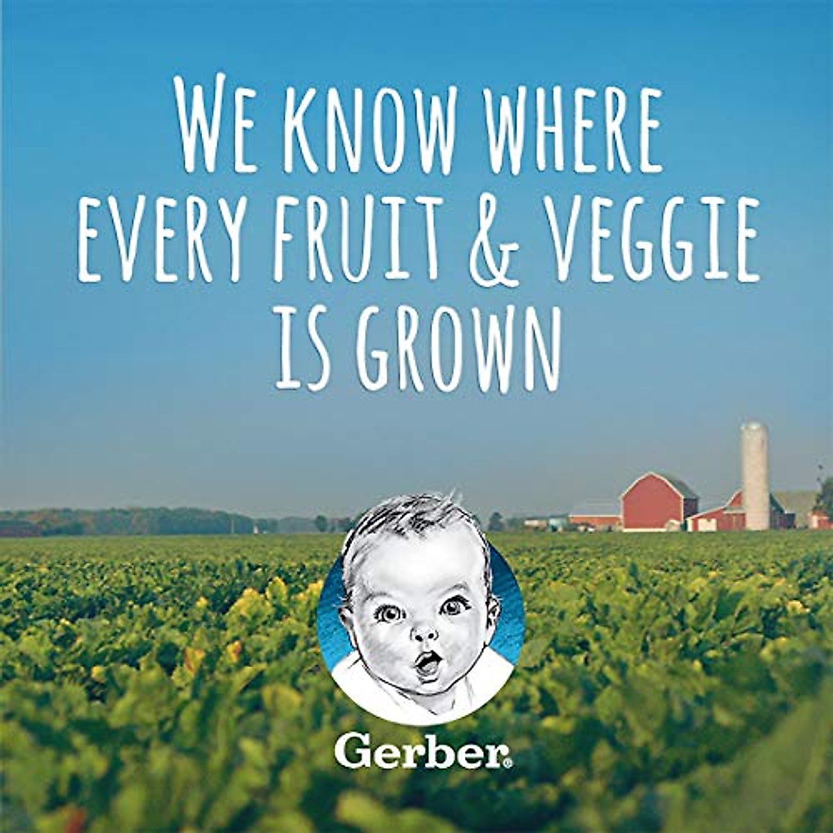 Gerber 2nd Foods - Pears & Cinnamon with Oatmeal (Pack of 6)