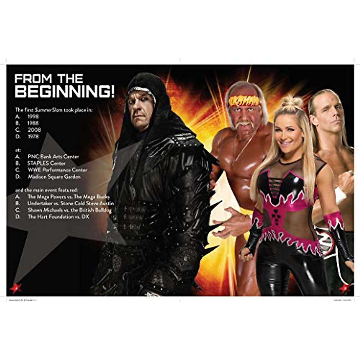 WWE SummerSlam Trivia and Activity Book
