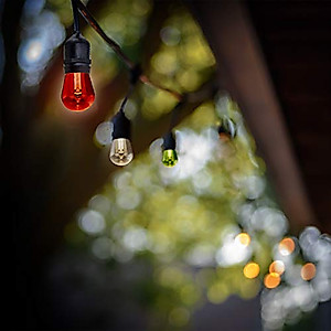 Feit Electric 24" 12pc. Light Color Changing Smart WiFi String Lights with Scheduling Features and Works with Alexa/Google Assistant, Heavy Duty and Weather Resistant - Clear Bulb - SL24-12/RGBW/AG