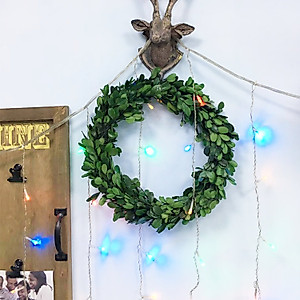 Preserved Garden Boxwood Round Wreath 10" By COCOMIA