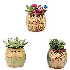 Weierken 12PCS Owl Pot Ceramic Flowing Glaze Base Serial Set Mini Succulent Plant Pot Cactus Plant Pot Container Planter Bonsai Pots with A Hole