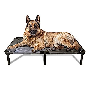 Lucky Dog 48'' Elevated Pet Bed Cot | Indoor & Outdoor Use | Gray