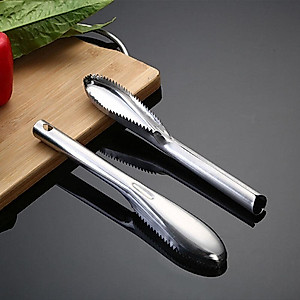 Fish Scaler Brush Fish Scaler Remover with Stainless Steel Sawtooth Easily Remove Fish Scales, Efficient Kitchen Tool for Chef and Home Cooks