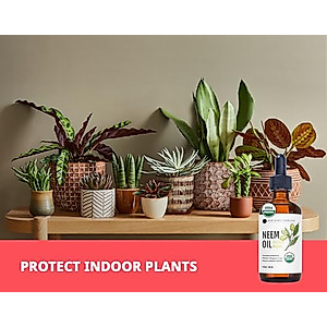 Kate Blanc Cosmetics Neem Oil for Skin, Hair & Face. Safe for Dog, Plants, Scalp & Hair Growth (4oz, Organic, Cold Pressed, Concentrate)