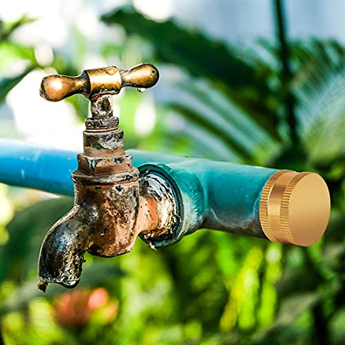 Lifynste 3/4" Brass Garden Hose Cap with Washers, 4 Pack