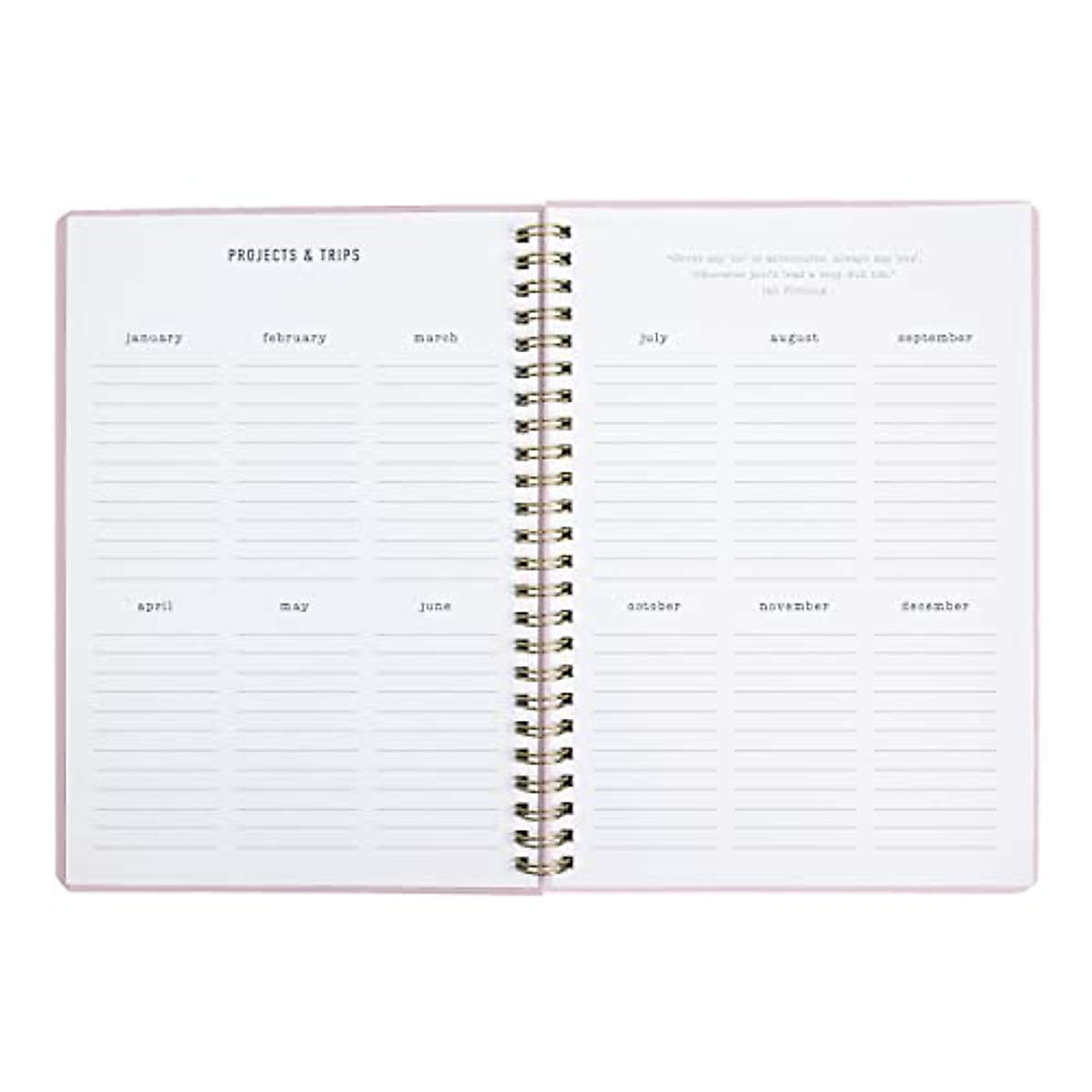 Letts Celebrate Weekly/Monthly Planner, 12 Months, January to December, 2024, Gold Twin-Wire Binding, A5 Size, 8.25" x 5.875", Multilingual, Rose (C082185-24)