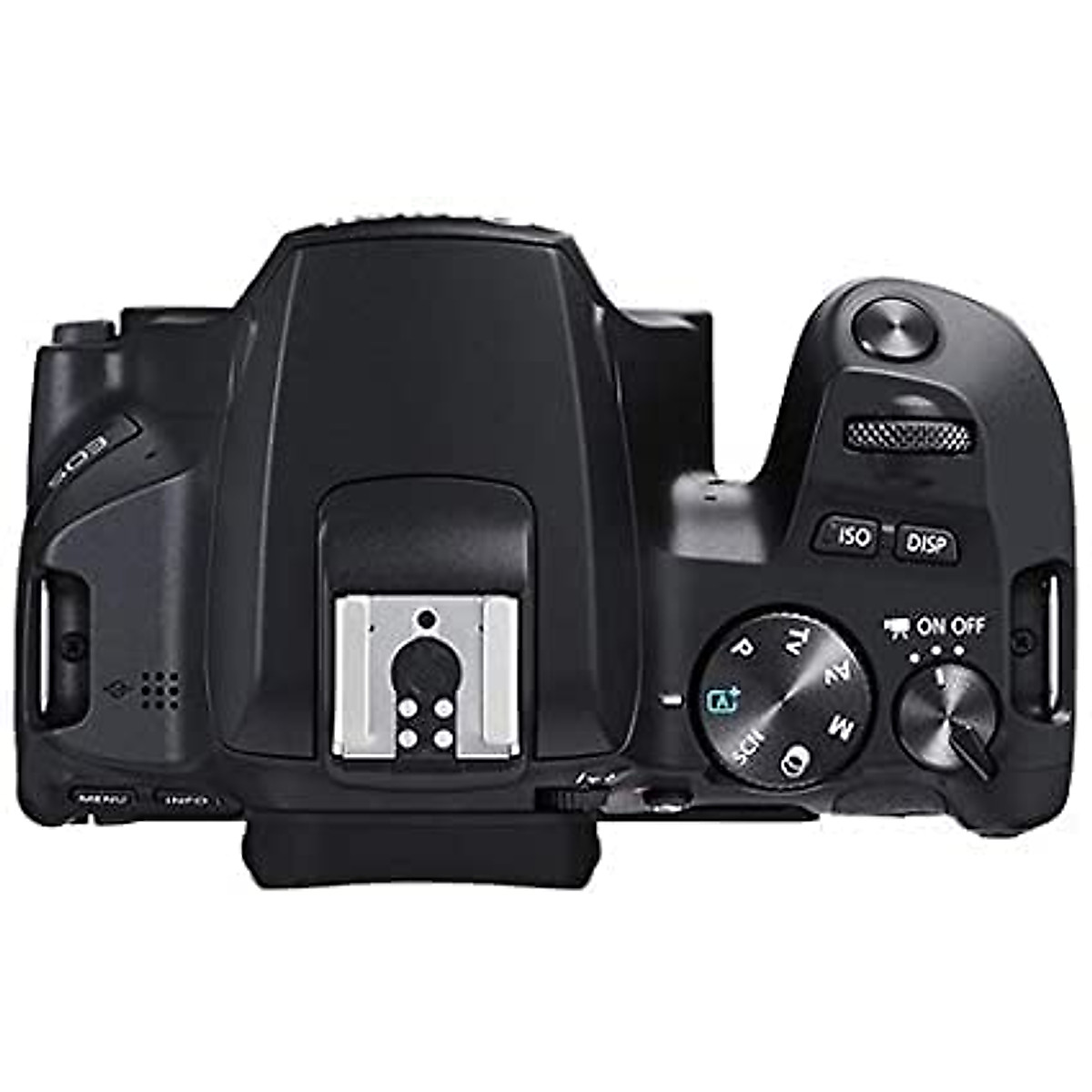 Grace Photo-Canon intl Canon EOS 250D (Rebel SL3) DSLR Camera with 18-55mm f/3.5-5.6 III Zoom Lens & 75-300mm Bundle + 420-800mm Telephoto 64GB Memory, Case, Tripod, Filters and More Black