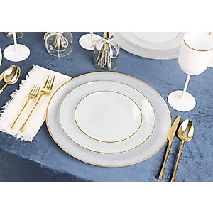 PLASTICPRO 30 Pack Hammered Plastic Plates Heavyweight Disposable Plastic Plates Elegant Transparent White With Gold Rim Platsic Party Dishes (Transparent White With Gold Rim, 9'' INCH PLATES)